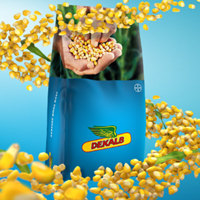 DEKALB Maize Products