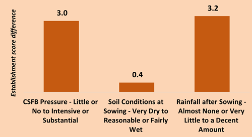 Good Establishment Means Substantially Increased 2023 OSR Crop