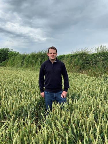 Big Gains From PGR Trials