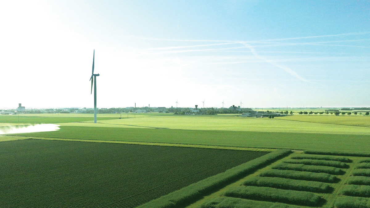 Driving OSR resilience with precision breeding