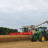 Holding-off on OSR harvesting crucial this season