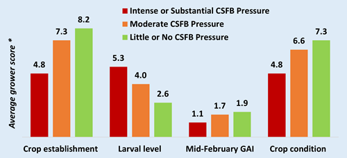 Latest OSR Benchmarking Suggests ‘Very Decent’ National Crop