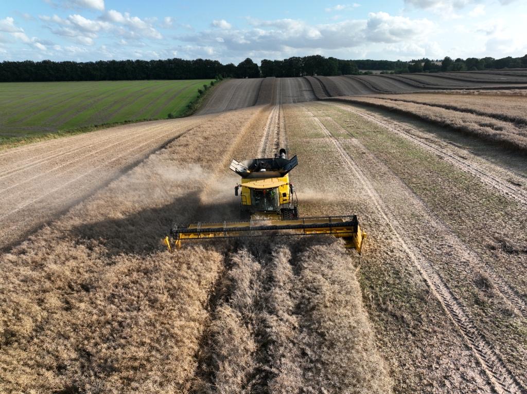 Early farm trial results show solid hybrid performance in a challenging ...