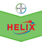 Fungicides for Crop Disease Control - Bayer CropScience